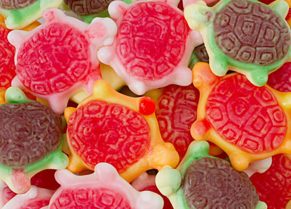 Jelly Filled Gummy Turtles – Bruce's Candy Kitchen