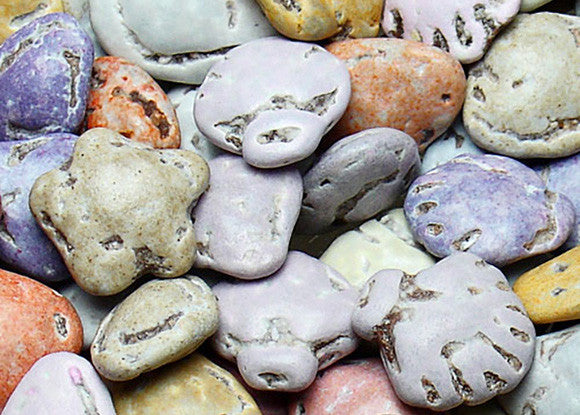 Chocolate Candy Seashells – Bruce's Candy Kitchen